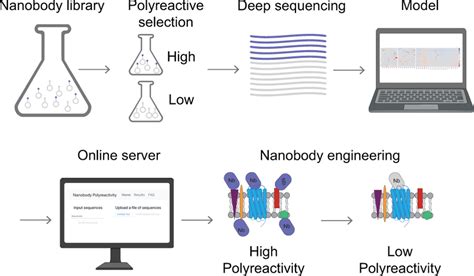 Development Of A Computational Tool To Assess And Mitigate Download Scientific Diagram