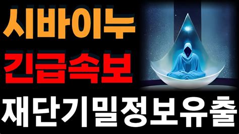 시바이누 코인 전망 긴급속보 미국발 긴급속보 재단기밀정보유출 업비트 최고가 돌파 후 여기까지 상승한다 Youtube