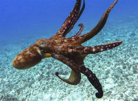 KentOnline Categories Kent