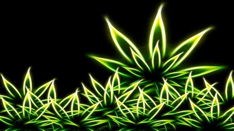 Weed Black Walpaper Weed Backgrounds Trippy Weed Backgrounds Hd