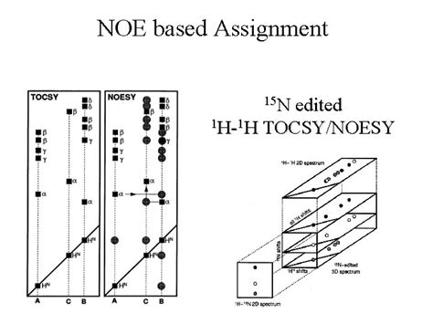 Resonance Assignment Nmr Analysis Of Proteins Sequential Resonance