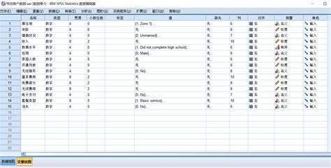 3 spss modeler数据基本分析笔记 csdn博客