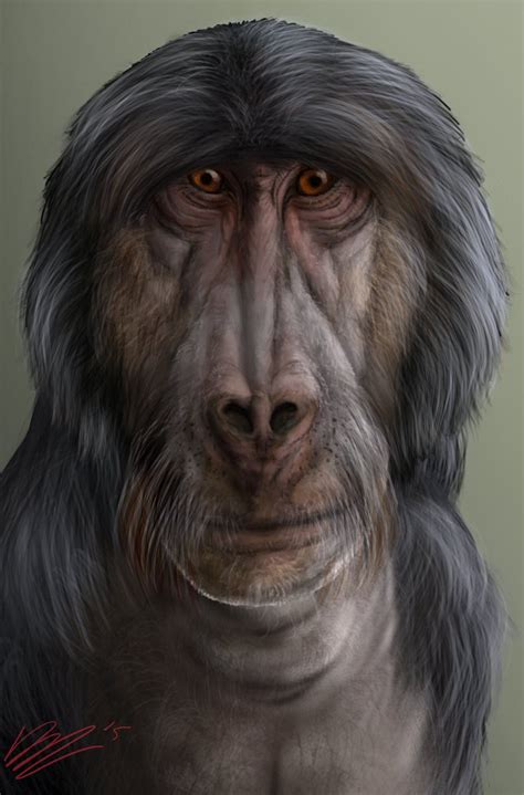 Primeval Online Őslénytani Blog Paradolichopithecus Az Európai