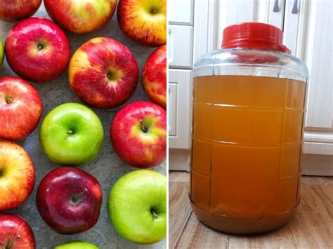 „ეს არის ნამდვილი ვაშლის ძმარი რომელსაც არ ურევია წვეთი წყალი და არც შაქარი აქვს“ რეცეპტი