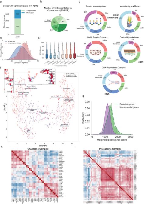 A Genome Wide Perturbation Map In A549 Cells 204 Summary Of Whole