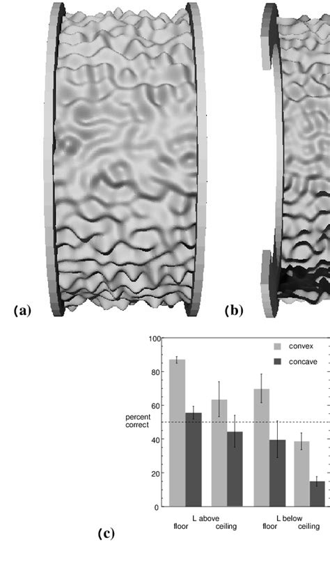 Two Surfaces Are Shown A A Globally Convex Surface Illuminated From