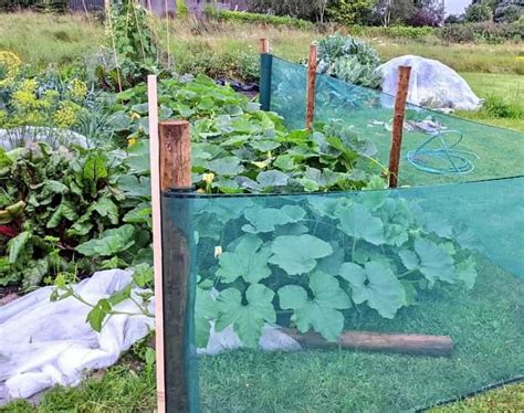 Windbreak Netting Windbreak Material For Livestock And Garden Pnbos