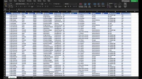 Mahmoud Mira On Linkedin Dataanalysis Excel Customerbehavior Businessinsights Bikesales