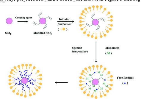 Figure 2 From Research Advances In Polymer Emulsion Based On Core Shell Structure Particle