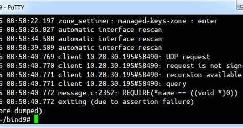 Errata Security A Quick Review Of The BIND Code