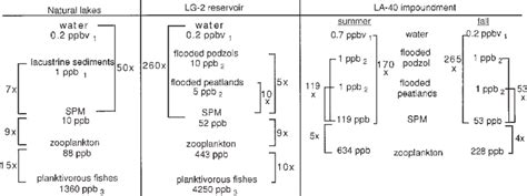 Bioamplification Factors Calculated Between The Various Ecosystem Download Scientific Diagram