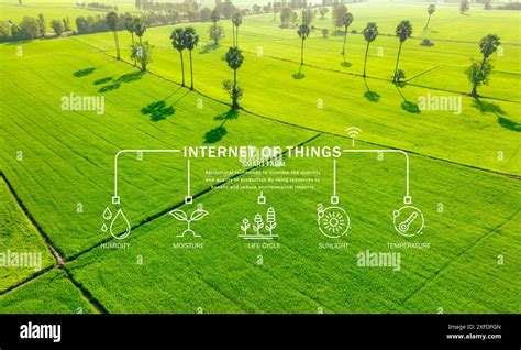 Smart Agriculture With Modern Technology For Sustainable Practices