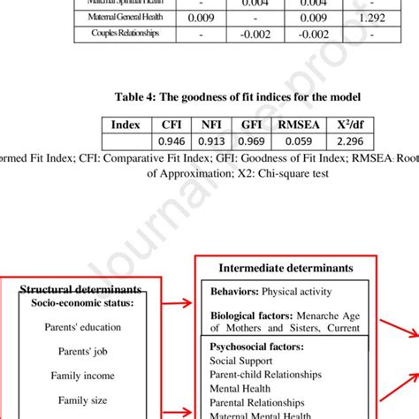 Conceptual Framework Of The Relationship Between Social Determinants Of Download Scientific