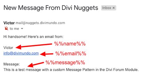 7 Tips For Better Divi Forms In Wordpress Victor Duse