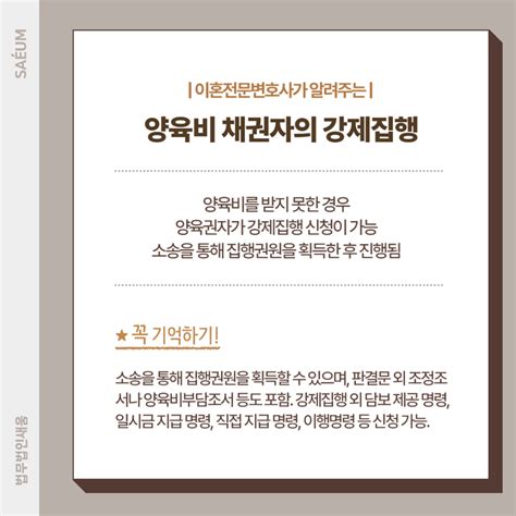 양육비 강제집행 양육비 소송 고민 중이라면 로톡