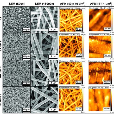 First Column Sem Micrographs Taken At 500× Magnification Second