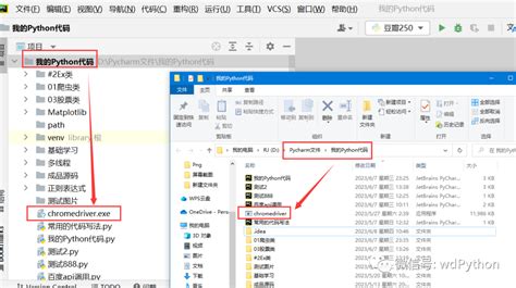 Python入门教程：谷歌浏览器驱动chromedriver安装方法 Csdn博客