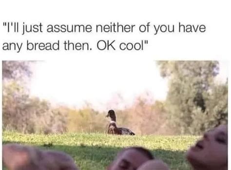 Duck Watching Name And Video 1687842 ›