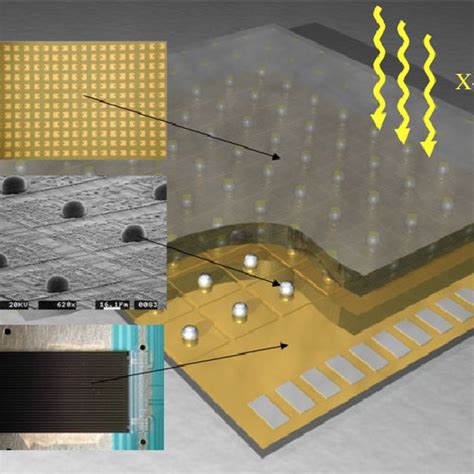 Schematic Representation Of A Sensor Readout Hybrid As Used In HPC Download Scientific Diagram