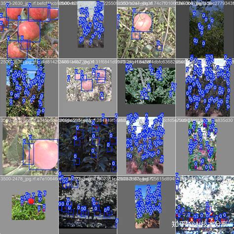 基于YOLO11深度学习的果园苹果检测与计数系统设计与实现python源码 Pyqt5界面 数据集 训练代码 知乎
