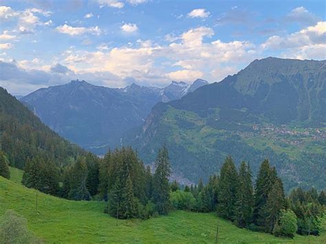 스위스 융프라우 Vip 패스 Vs 스위스트래블패스 두피디아 여행기