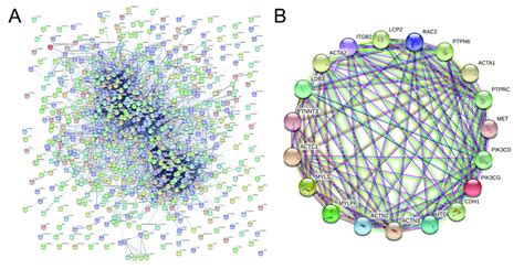 Results Of Differentially Expressed Protein Interactions Analysis A Download Scientific