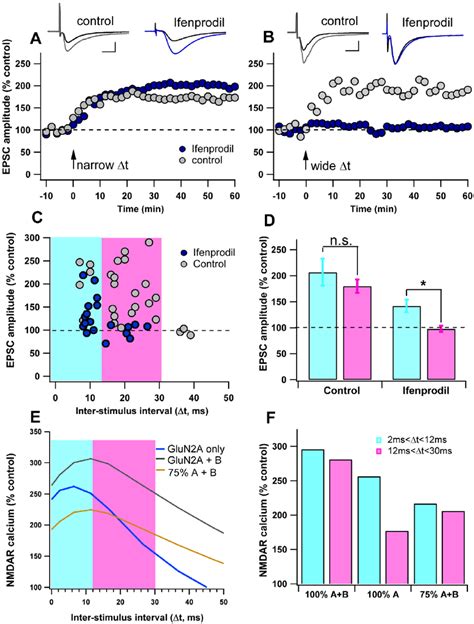 glun2b broadens the stdp curve a b inhibition of glun2b restricts