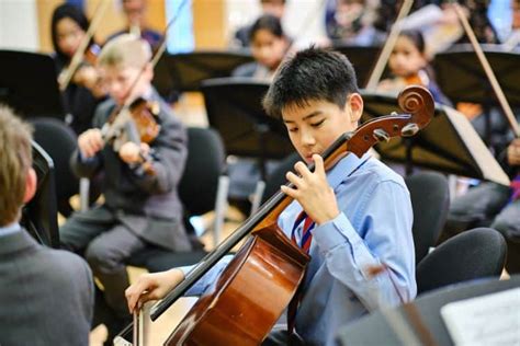 Strings And Orchestras