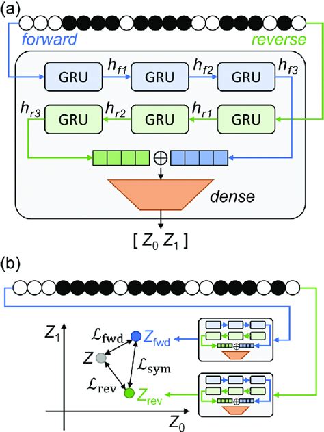 Schematic Of The Rnn Regressor Architecture And Training Procedure
