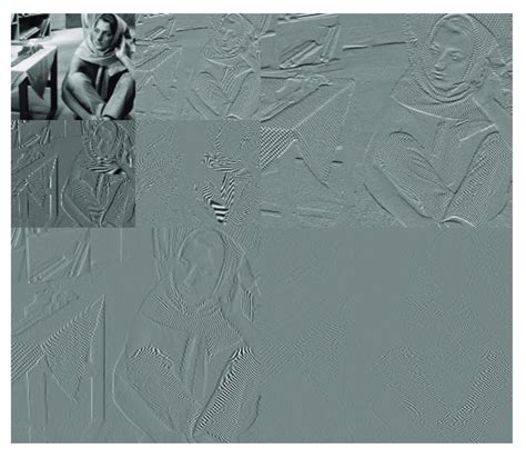 Wavelet Transform Of Barbara Download Scientific Diagram