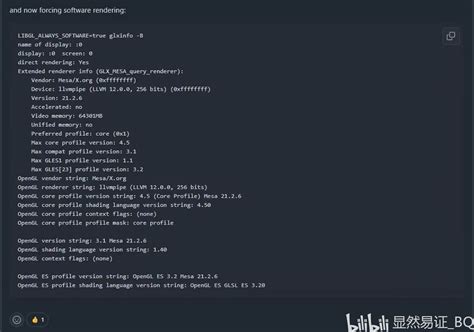 wsl2无痛将opengl升级成4 4以上版本（d3d12方法） 哔哩哔哩