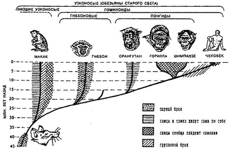 VIVOS VOCO В Р Дольник Жизнь разгадка пола или пол разгадка жизни