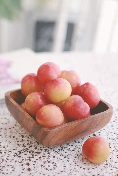 비타민을 충전하는 여름 제철 과일 Best 2 네이버 포스트