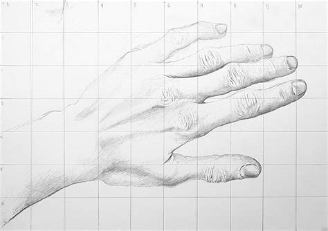 Drawing With A Grid How To Use A Grid For Drawing Various Things