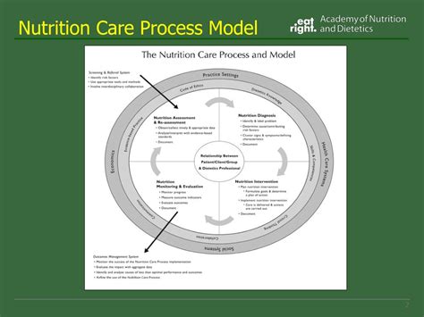 Ppt Nutrition Care Process Terminology Powerpoint Presentation Free Download Id4412464