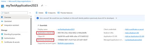Quickstart Authenticate A Durable Functions App By Using Microsoft
