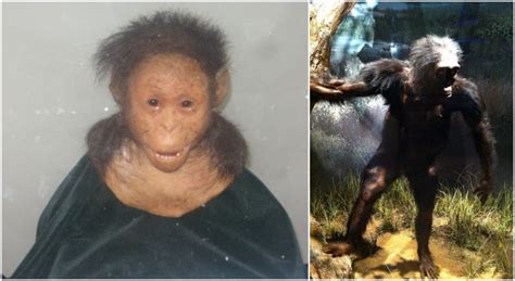 First Humans On Earth Lucy