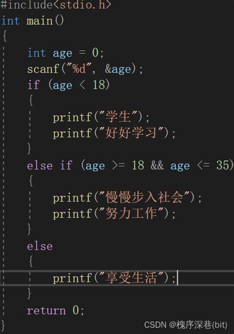 初识c语言：分支结构程序详解 c语言 分支语句 例题 csdn博客