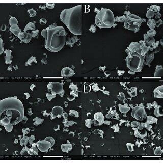 Figure A Representative SEM Images Of Spray Dried HPMC K M L Leu Download Scientific