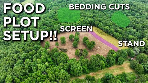 the best food plot setup new food plot strategy youtube
