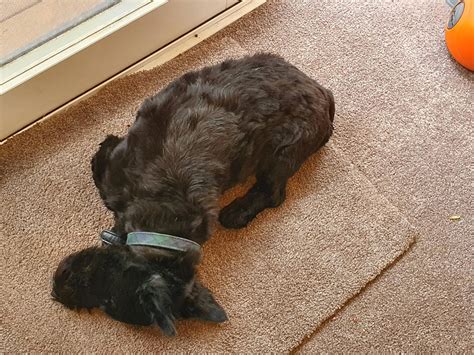 Weird Scotty Position Scrolller