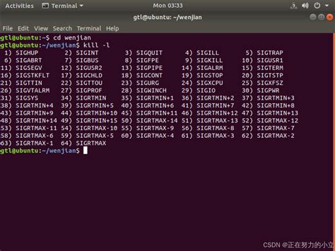 linux中进程通信之信号 linux给进程发送信号 csdn博客