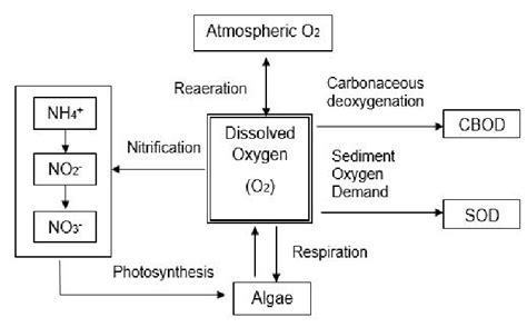 Dissolved Oxygen Balance Source Sakalauskiene 2001 Download Scientific Diagram