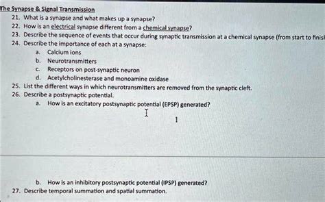 Solved [e Synapse Signal Transmission What Is Synapse And What Makes Up Synapse How Is An