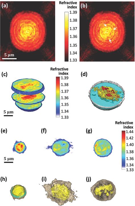 Rapid 3d Refractive‐index Imaging Of Live Cells In Suspension Without Labeling Using