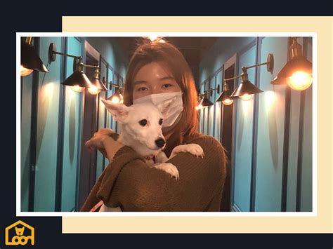 잭러셀 모찌 책임분양 뱅갈고양이 도베르만분양 미니말티즈 스핑크스고양이분양 장모치와와 빠삐용 스핑크스고양이 브리티시숏헤어분양 빅토리아펫보호소 입양완료