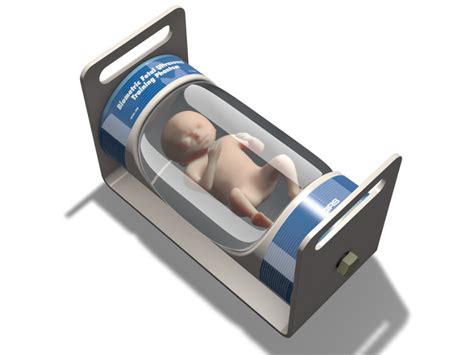 Fetal Ultrasound Biometrics Phantom Model 068 Pocl Medical Solutions