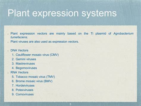 Plant Expression Vectors Pptx