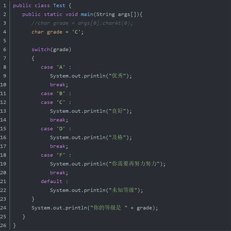 Java从入门到精通Java switch case 语句 阿里云开发者社区