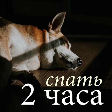 ‎спать 2 часа расслабляющая музыка индии и звуки природы Album By Детские сна Звезда And Sounds